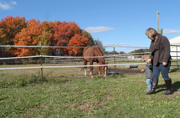 MORRIS FARM | Warwick, RI