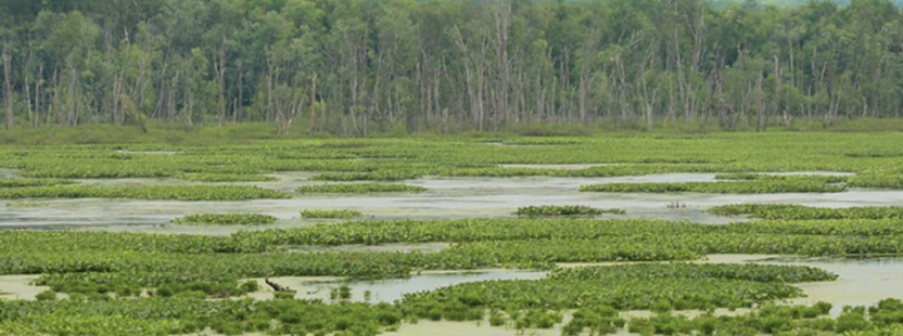 Killbuck Marsh Wildlife Area