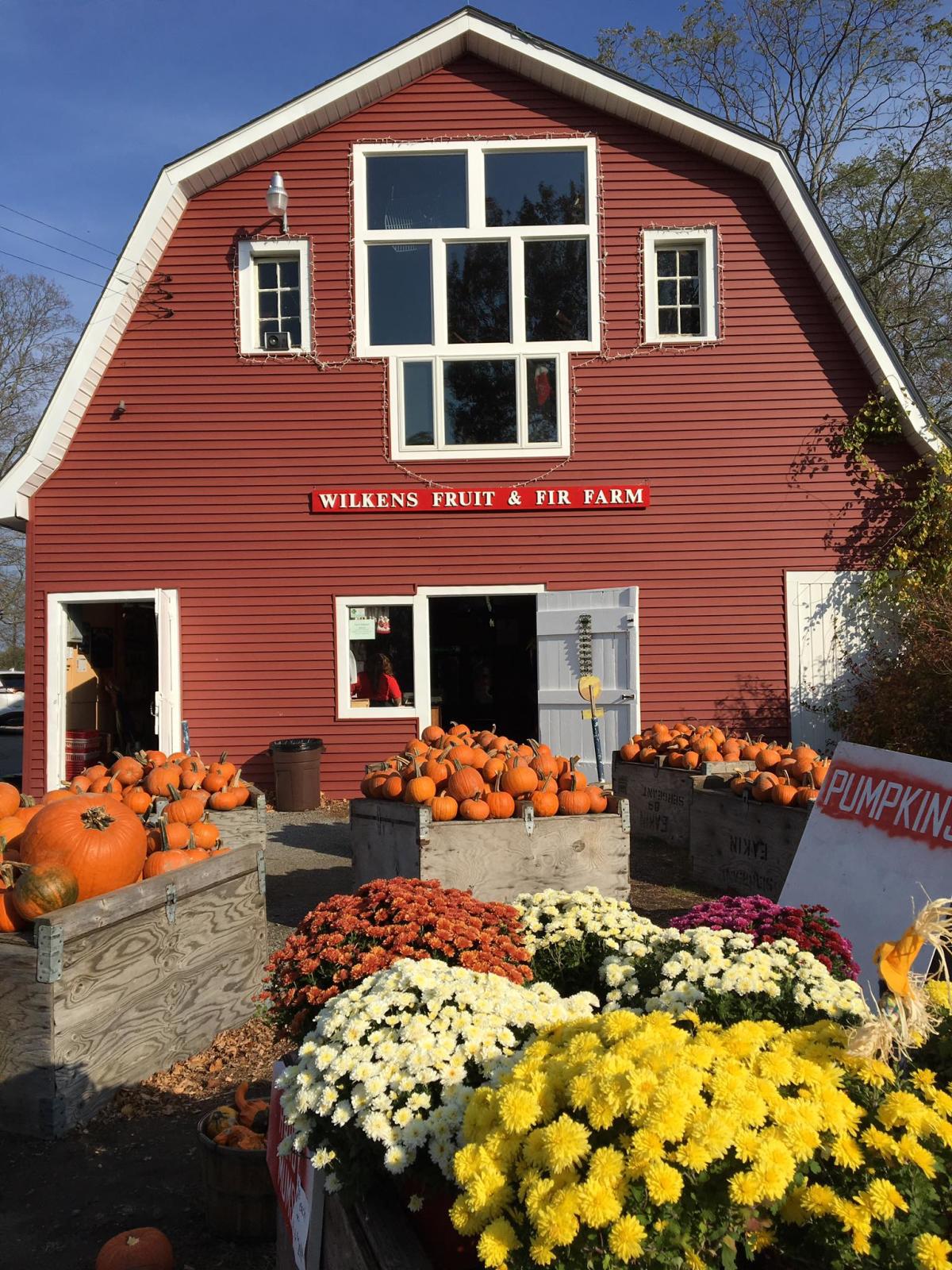 Wilkens Fruit & Fir Farm