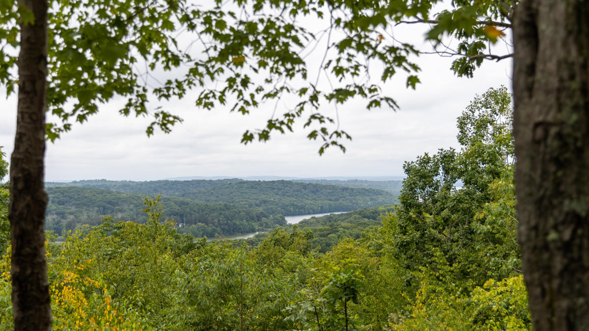 Ward Pound Ridge Reservation
