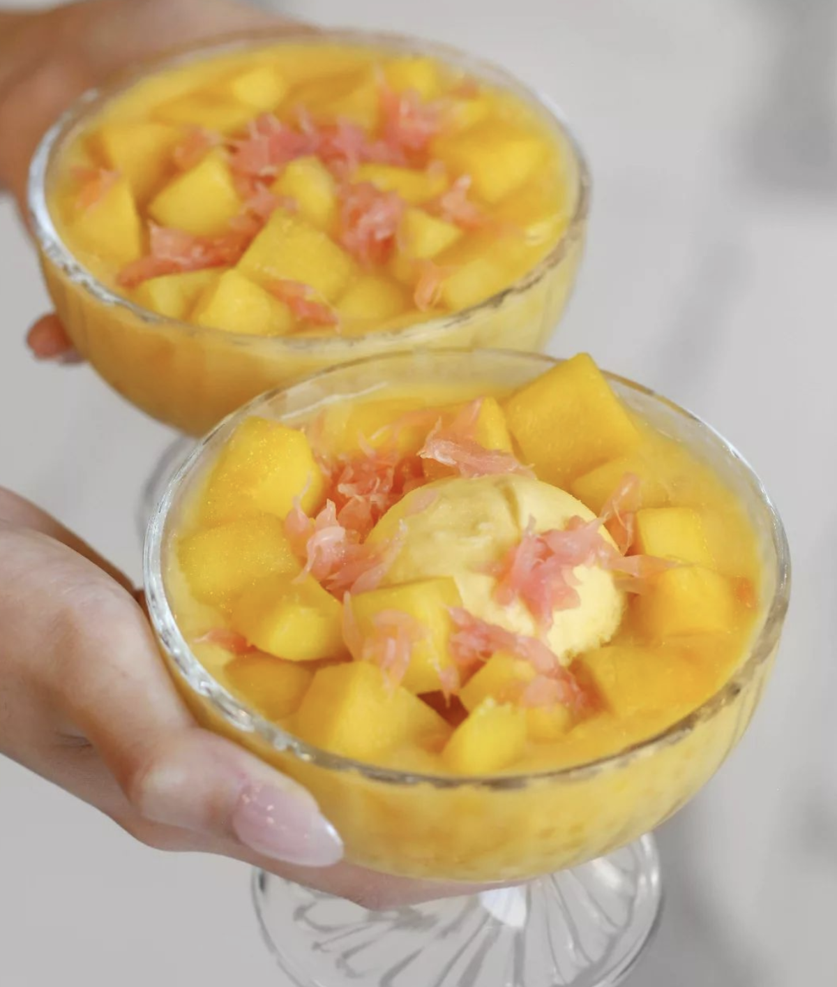 Mango Mango Dessert