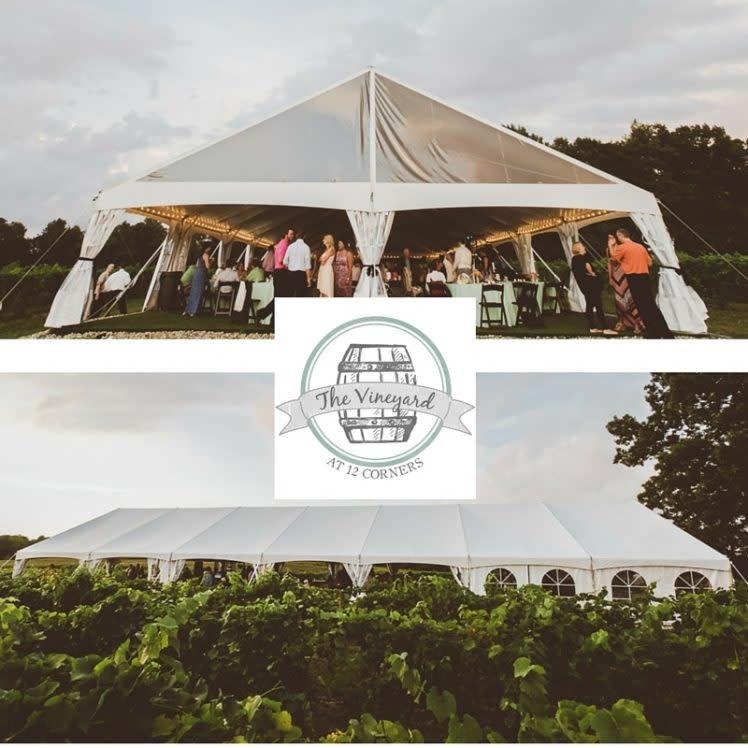 12 corners vineyard wedding 60 photos - Astyledwedding.com