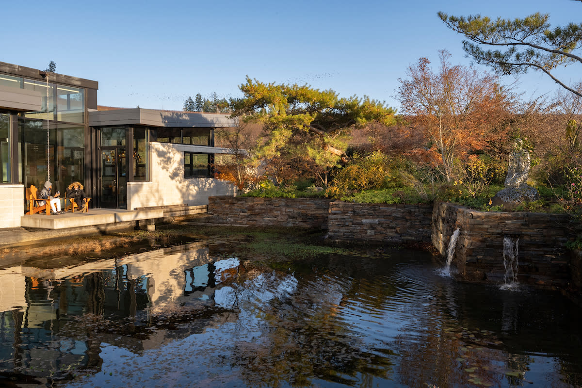 saffron fields red lodge