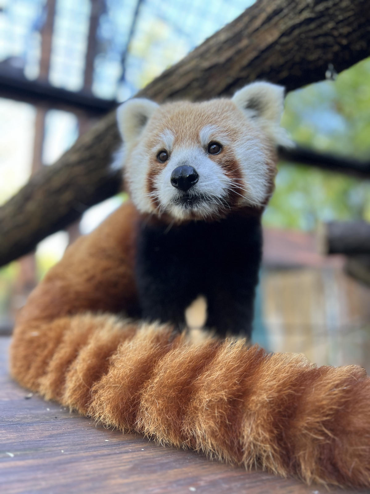 Brandywine Zoo | Wilmington, DE 19802