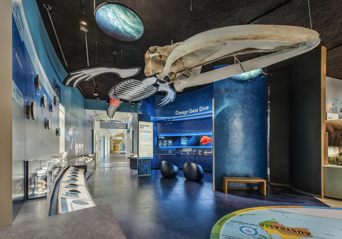 Delaware Museum of Nature and Science | Wilmington, DE 19807
