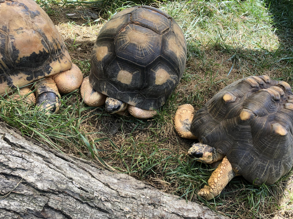 Brandywine Zoo | Wilmington, DE 19802