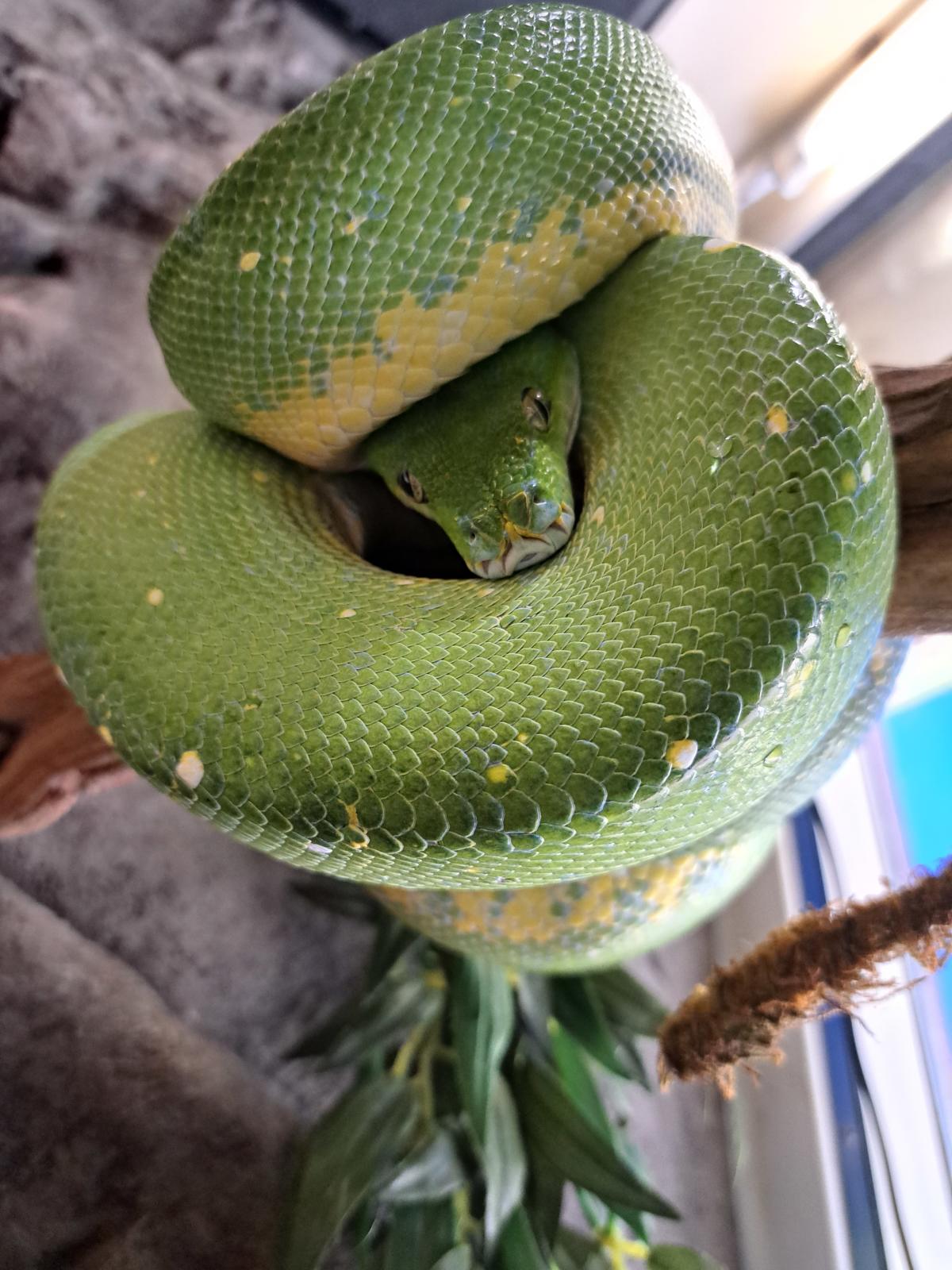 Brandywine Zoo | Wilmington, DE 19802