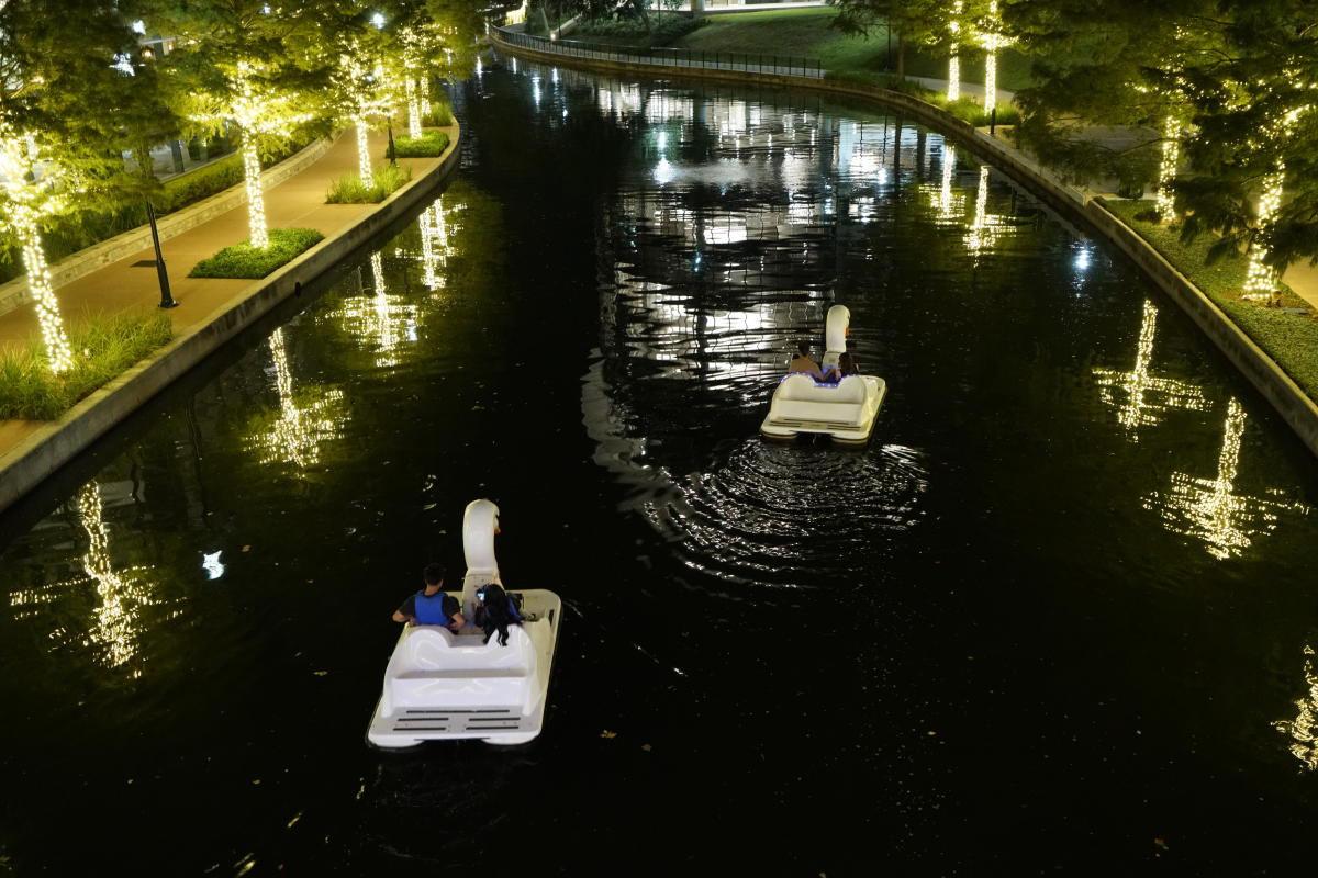 Starlight Swan Rides