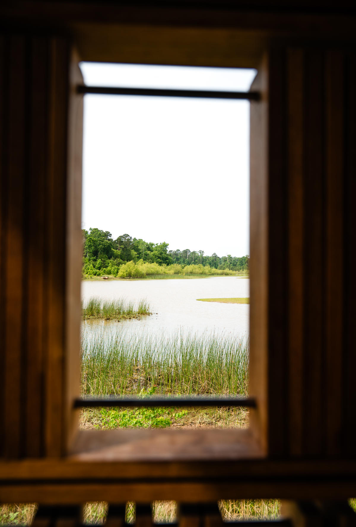 The Lookout Bird Blind