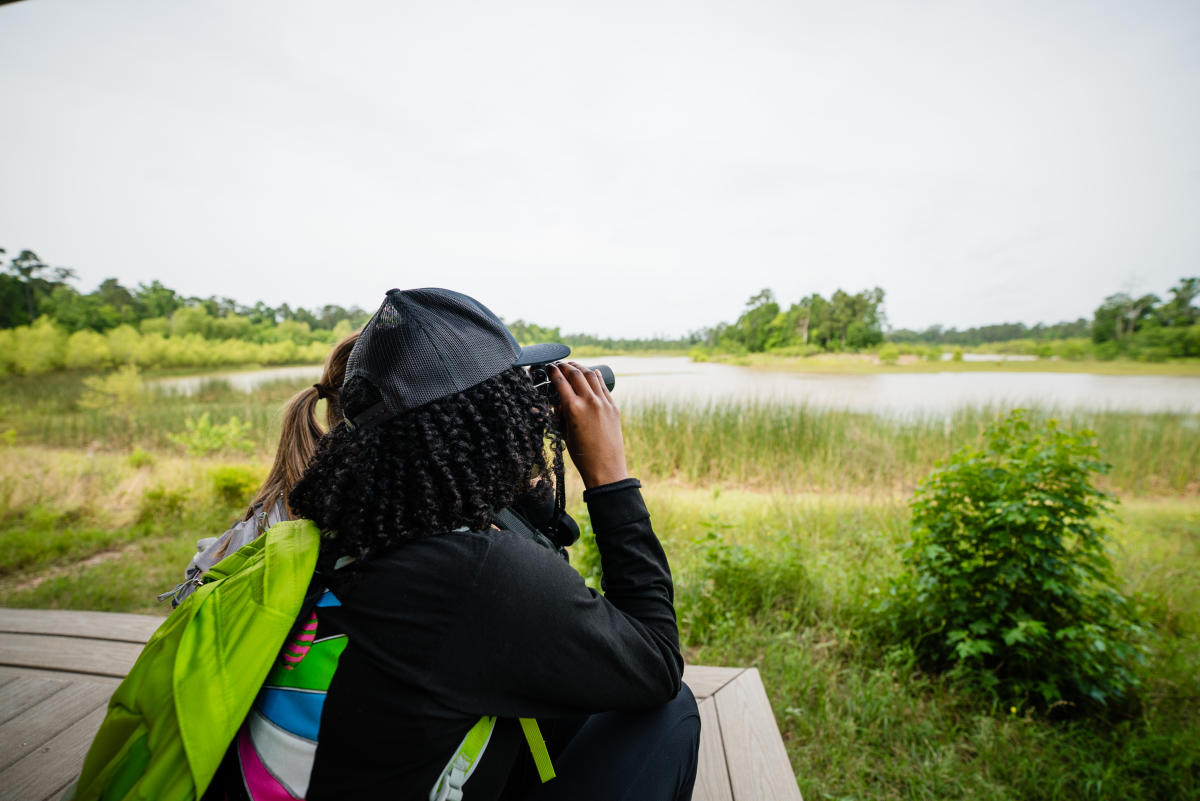The Lookout Bird Blind