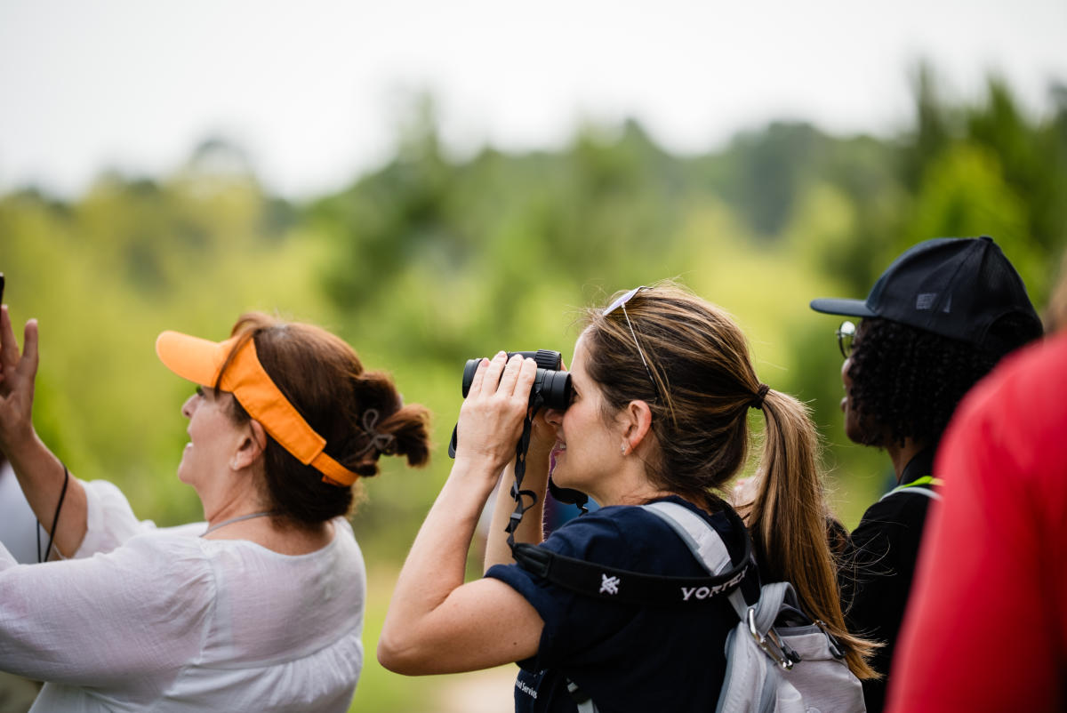 The Lookout Bird Blind