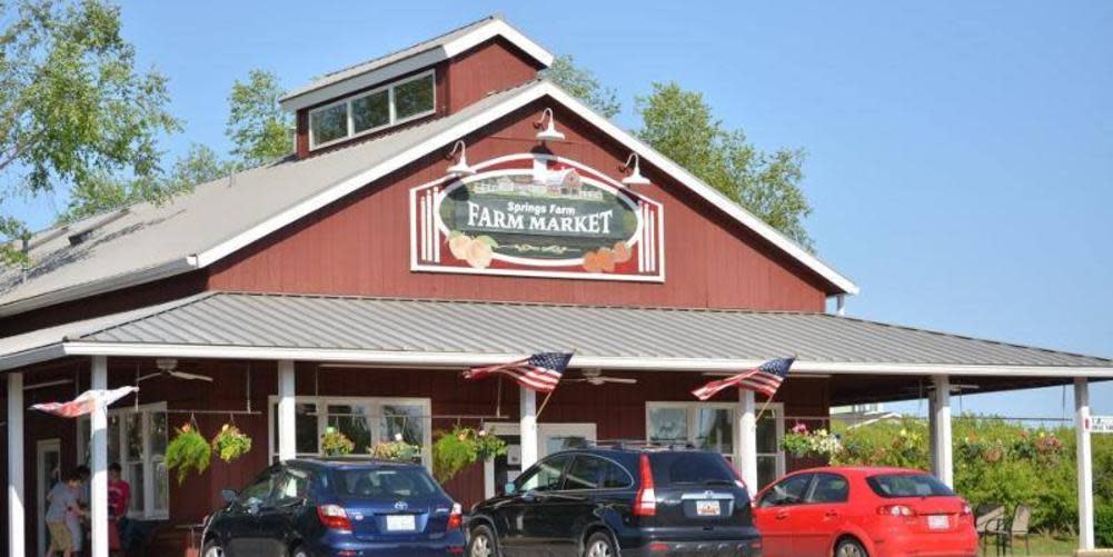 Springs Farm