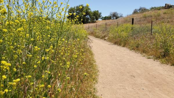 Santa Rosa Plateau Foundation | Murrieta, CA