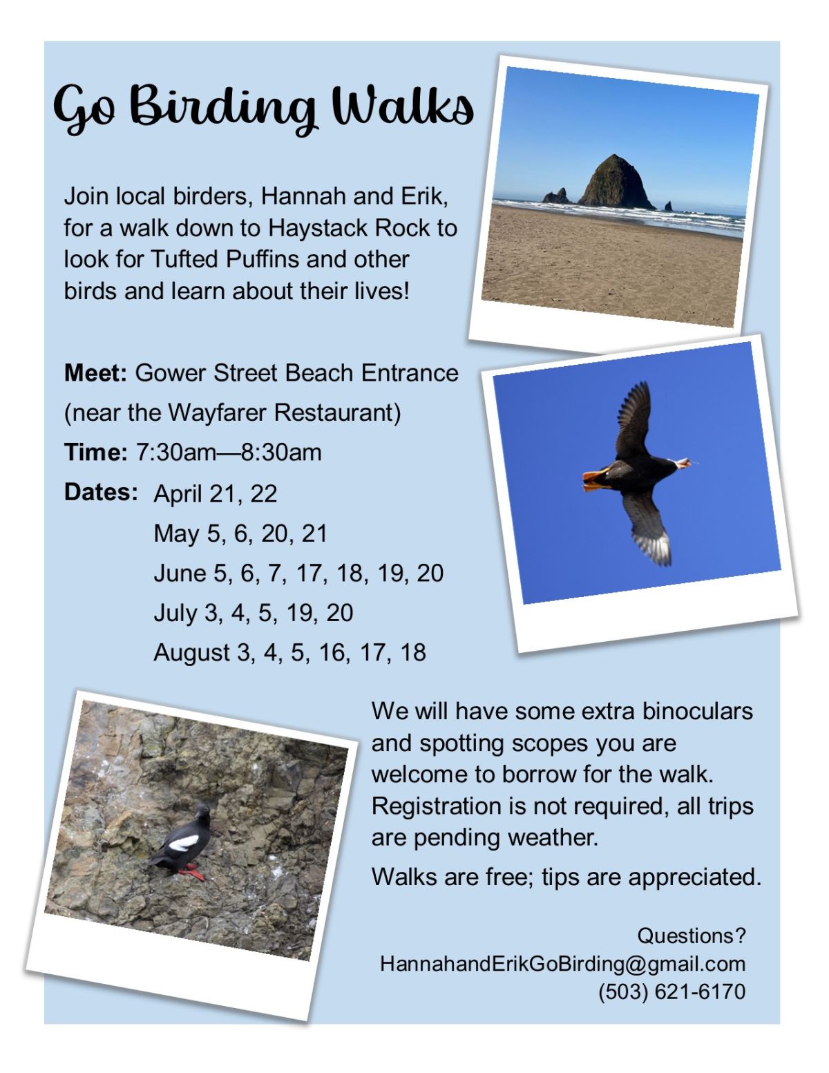 Go Birding Walks
