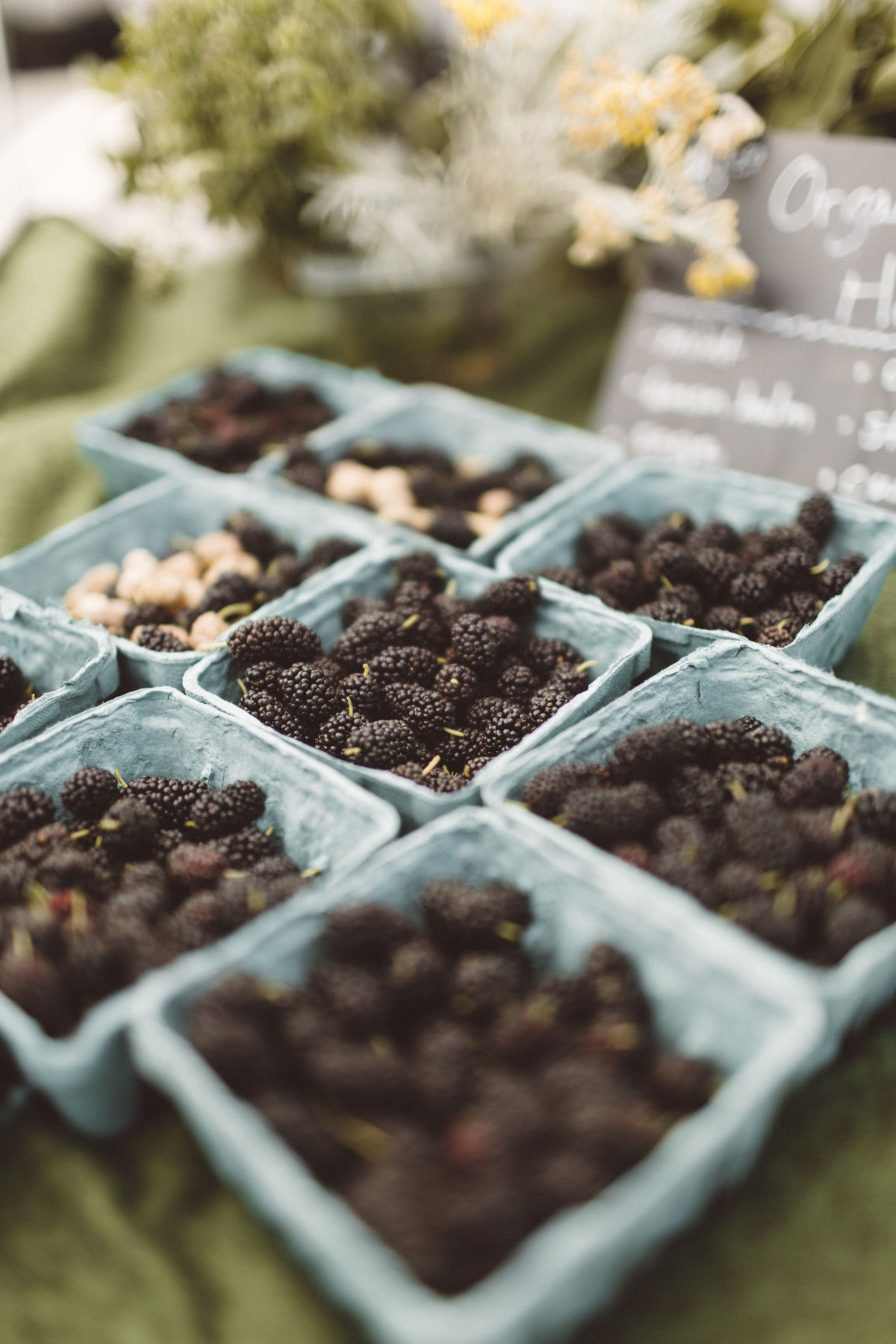 Old Town Clovis Farmers Market