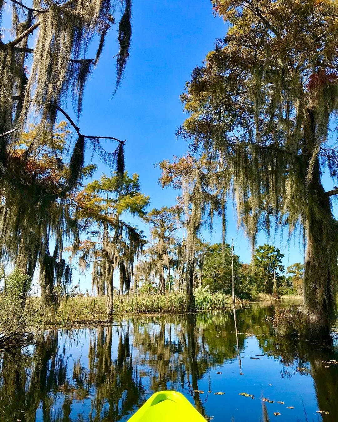 Bayou Adventure