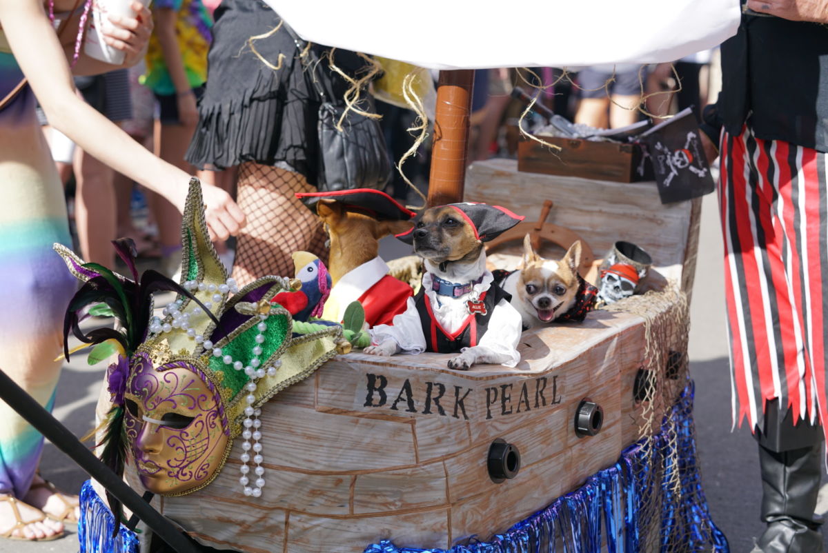 Mystic Krewe of Barkus