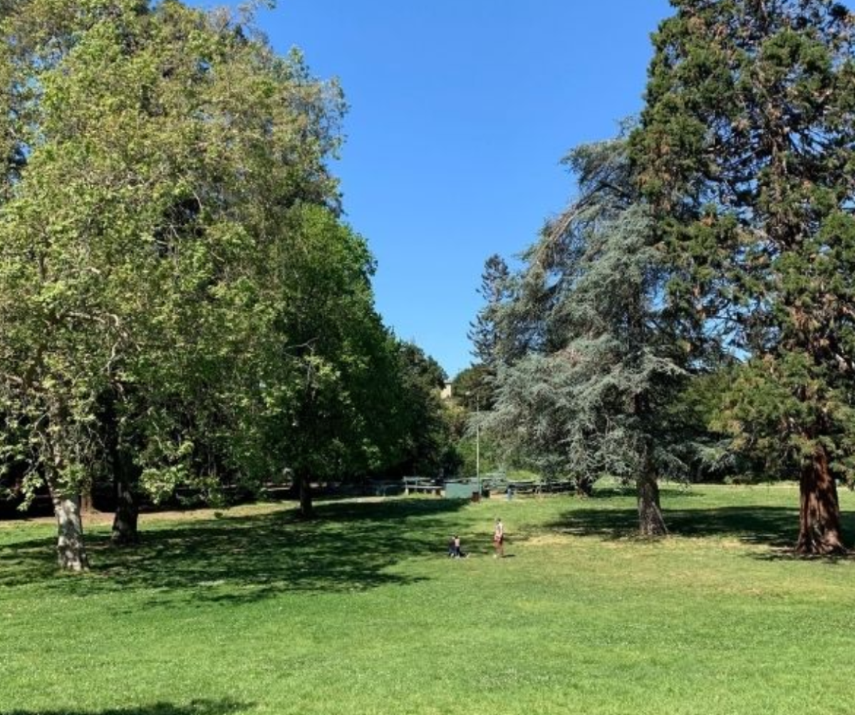 Dimond Park | Oakland, CA