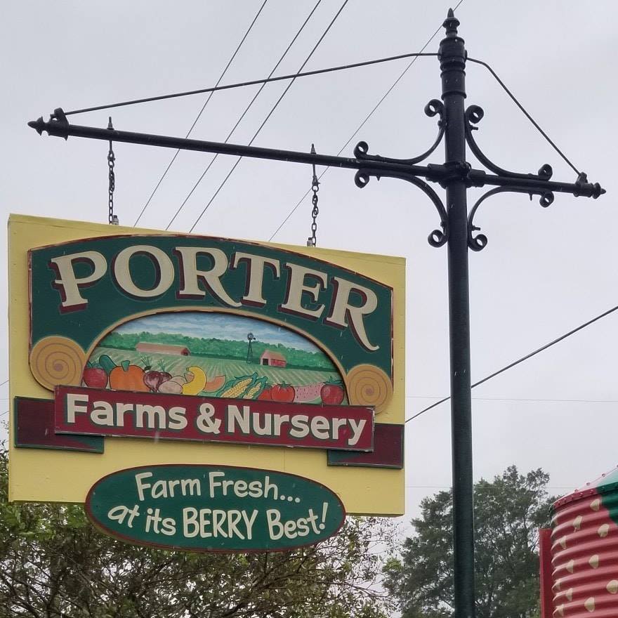 Porter Farms Strawberry Farm | Raleigh, NC 27603