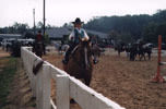 Hunt Horse Complex at the North Carolina State Fairgrounds | Raleigh ...