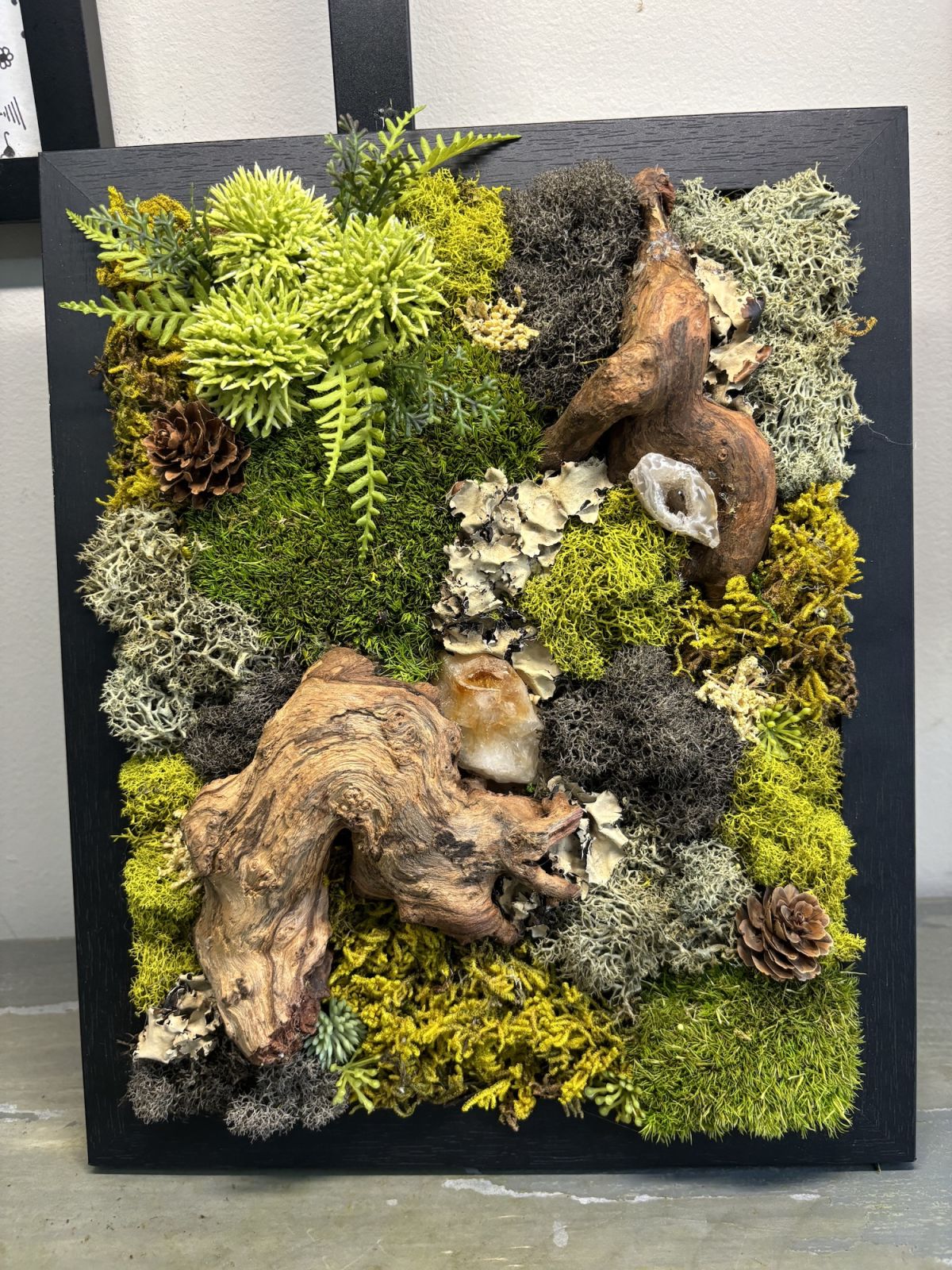 Preserved Moss Wall Art Workshop | Raleigh, NC 27604