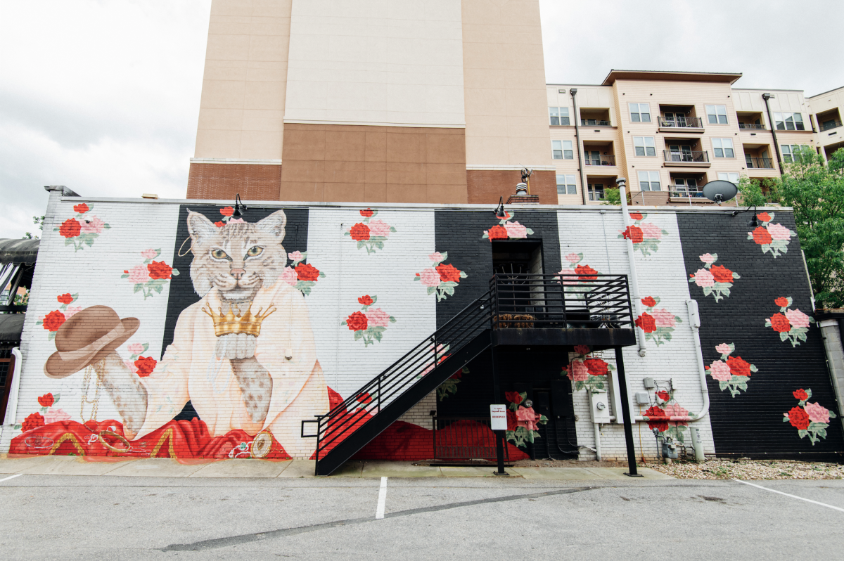 Split Raleigh | Raleigh, NC 27603