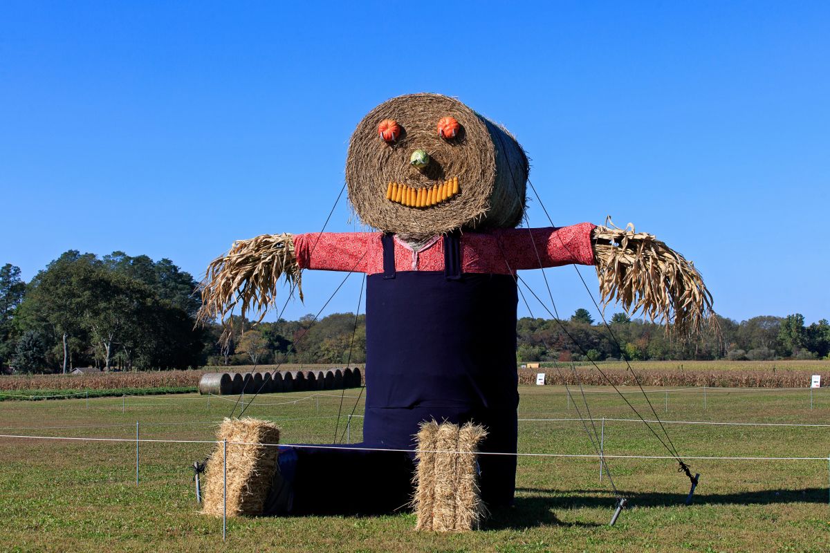 Schartner Farms | Exeter, RI 02852