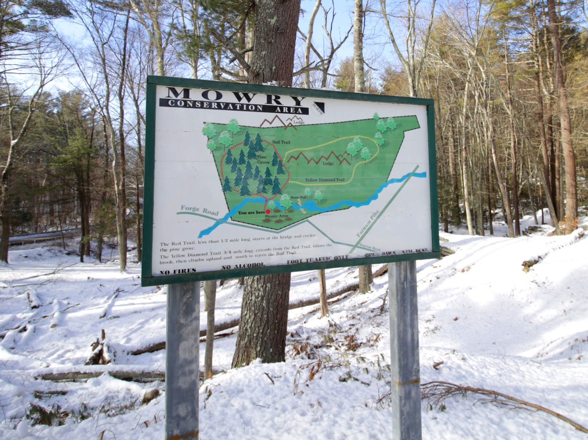 smith square conservation area