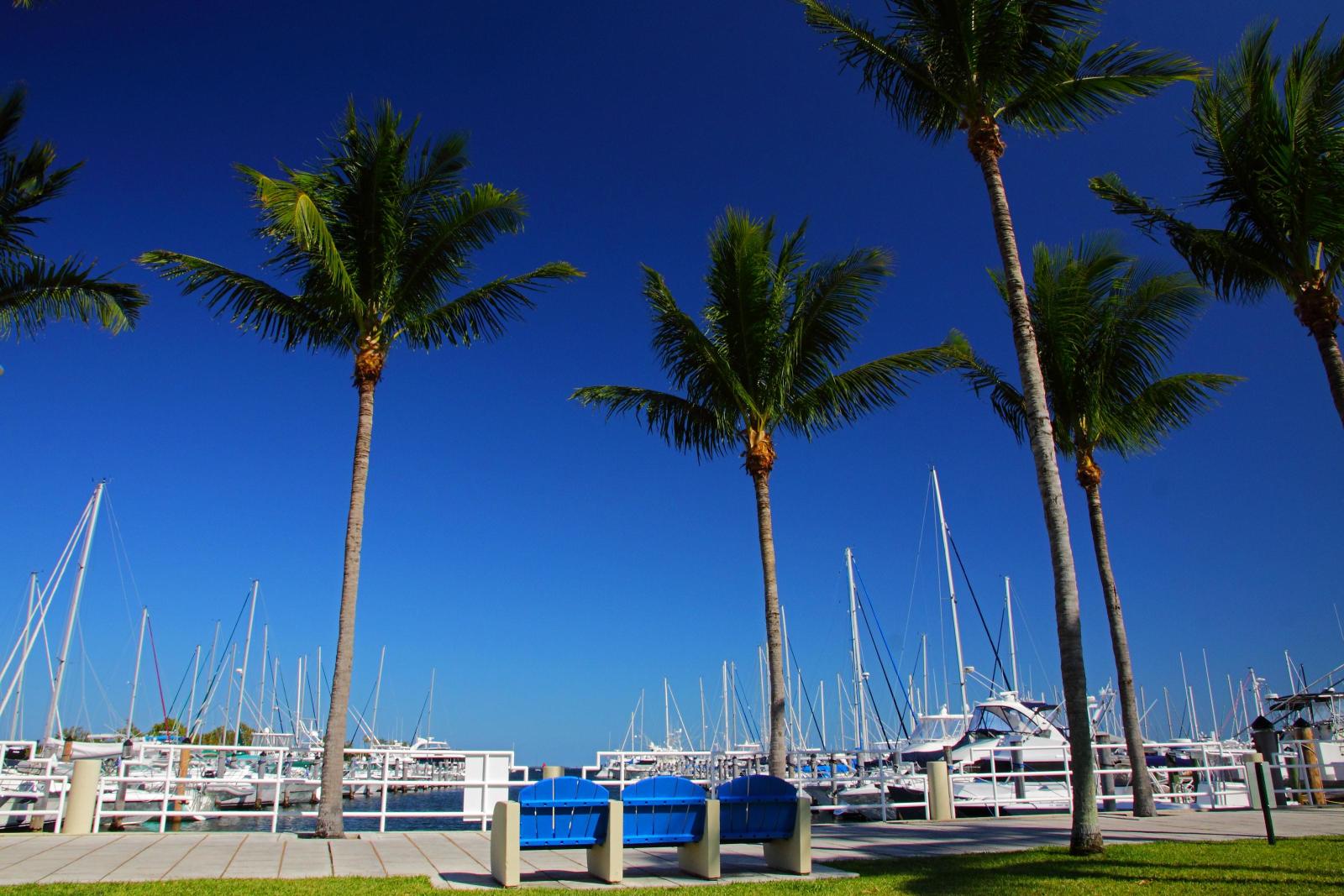 Dinner Key Marina | Greater Miami & Miami Beach