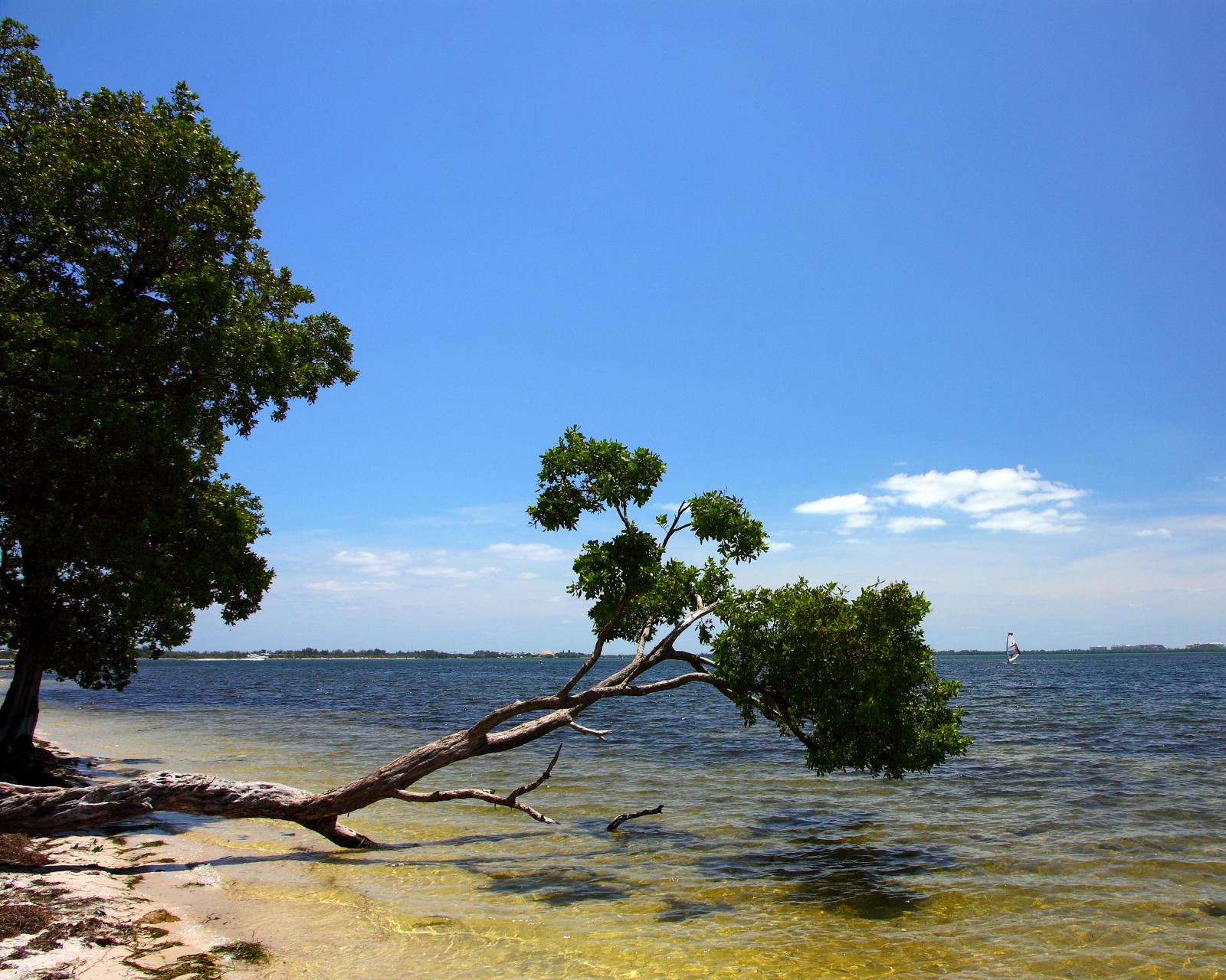 Hobie Beach - Windsurfer Beach | Greater Miami & Miami Beach