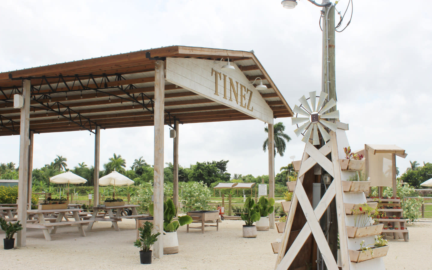 Tinez Farms | Miami & Miami Beach