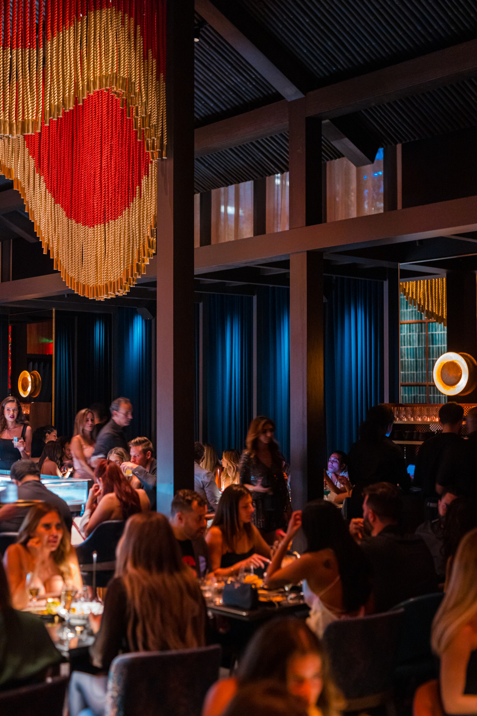 Gekko | Greater Miami & Miami Beach