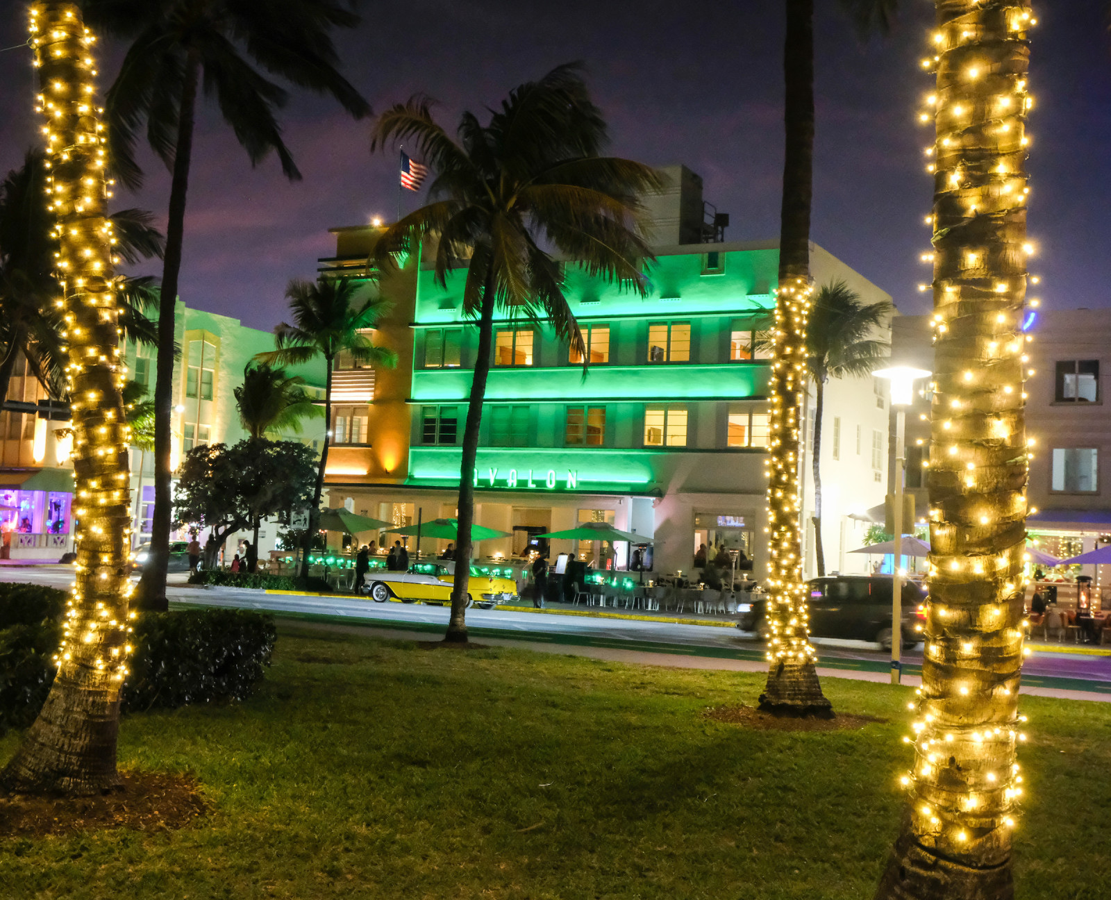 A Fish Called Avalon | Miami y Miami Beach
