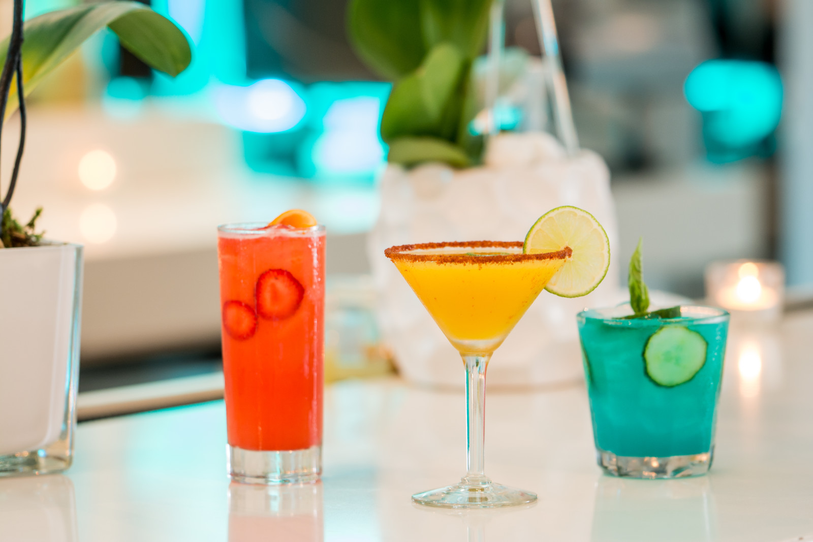 Canvas Restaurant at the Sagamore Art Hotel | Greater Miami & Miami Beach