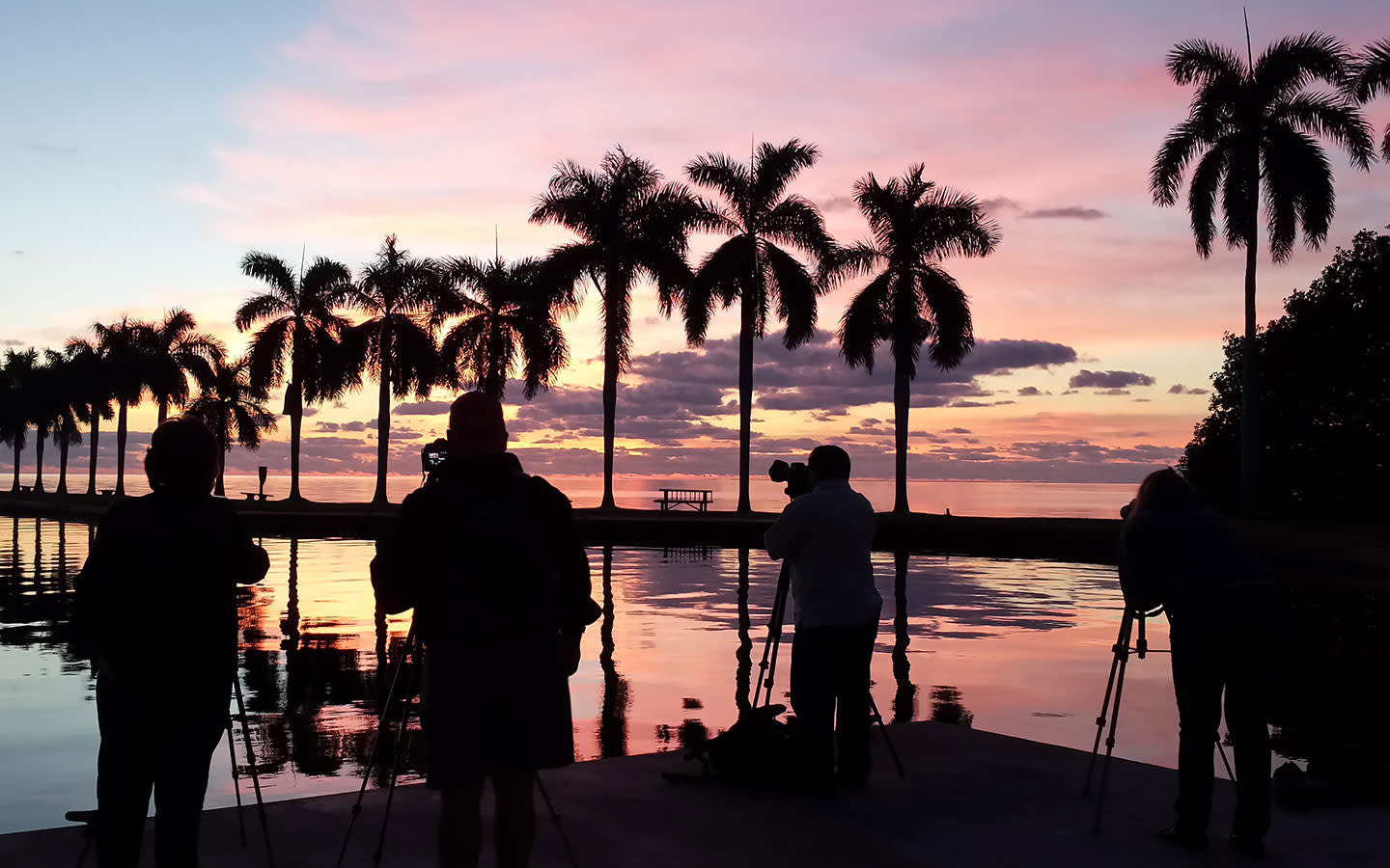 Deering Estate | Greater Miami & Miami Beach