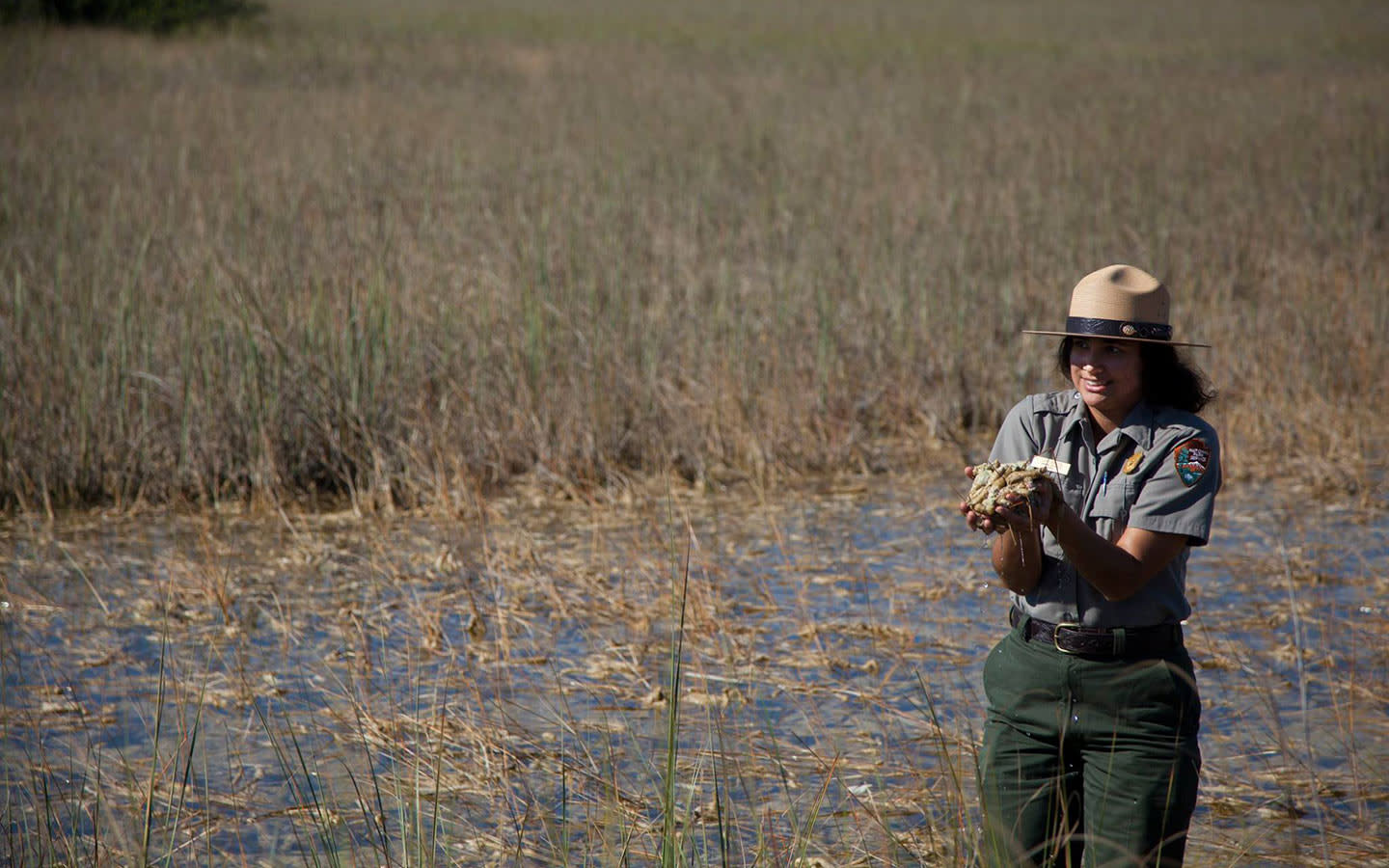 Everglades National Park | Greater Miami & Miami Beach