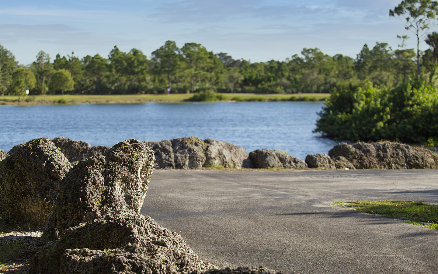 Larry & Penny Thompson Park | Greater Miami & Miami Beach