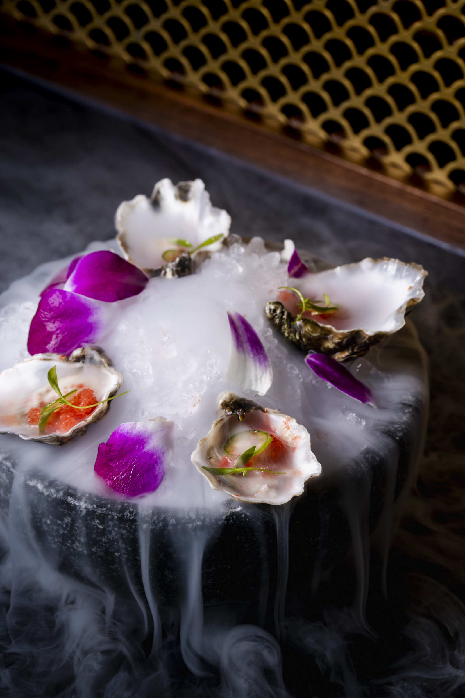 Gekko | Greater Miami & Miami Beach