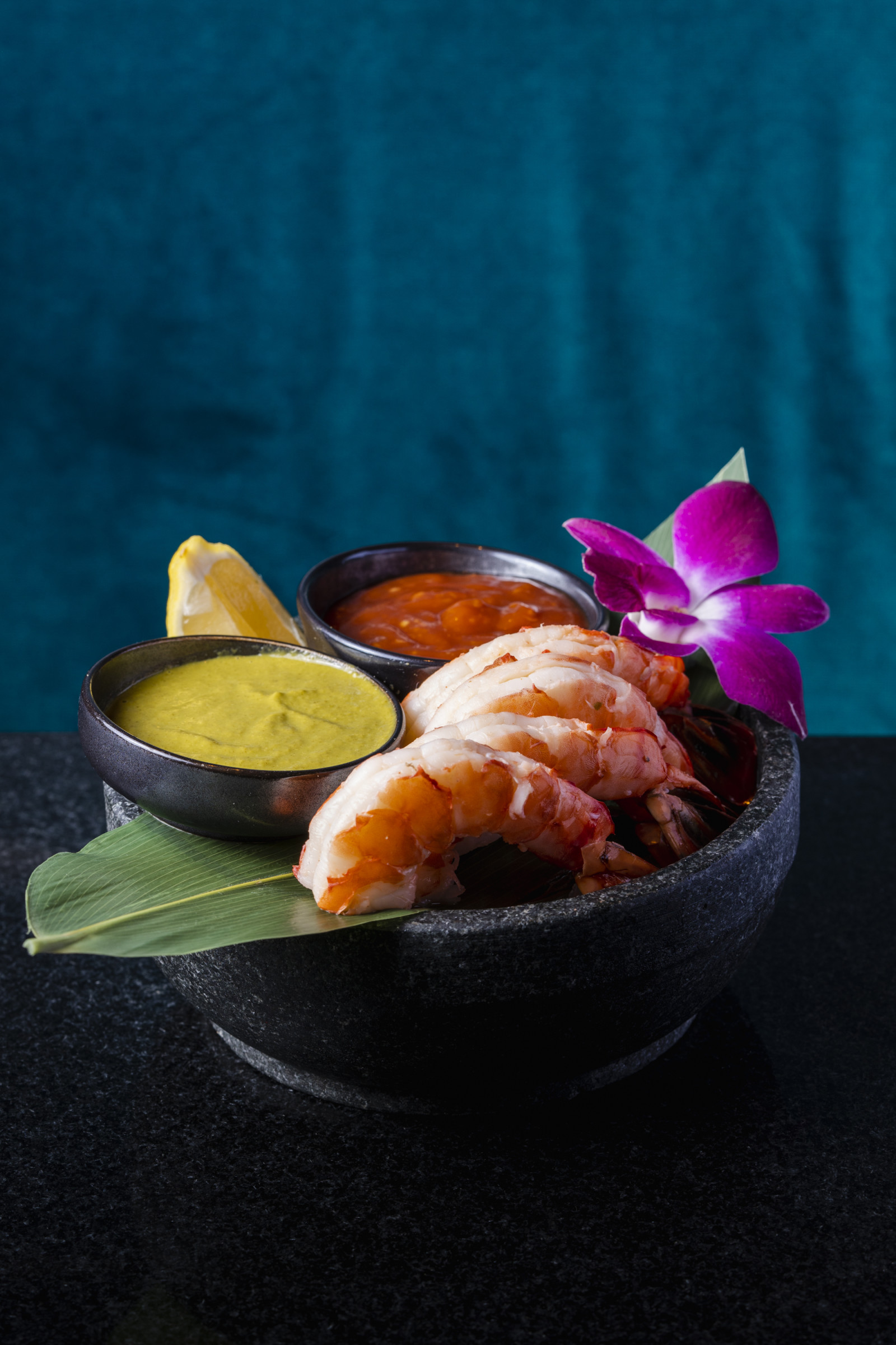 Gekko | Greater Miami & Miami Beach