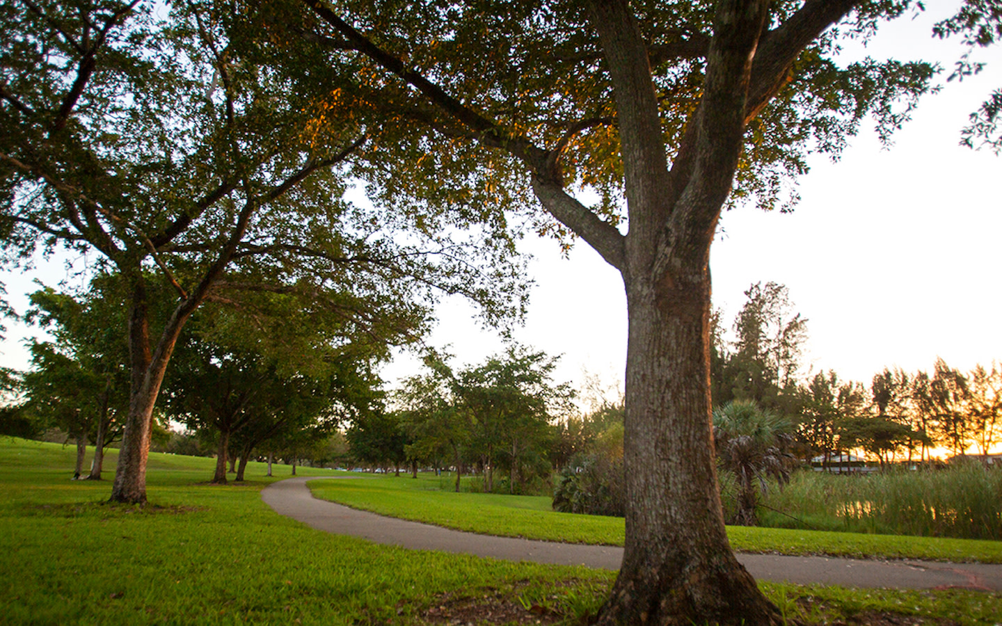 Tropical Park | Großraum Miami & Miami Beach