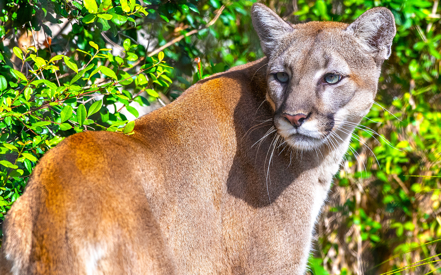 Zoo Miami | Greater Miami & Miami Beach