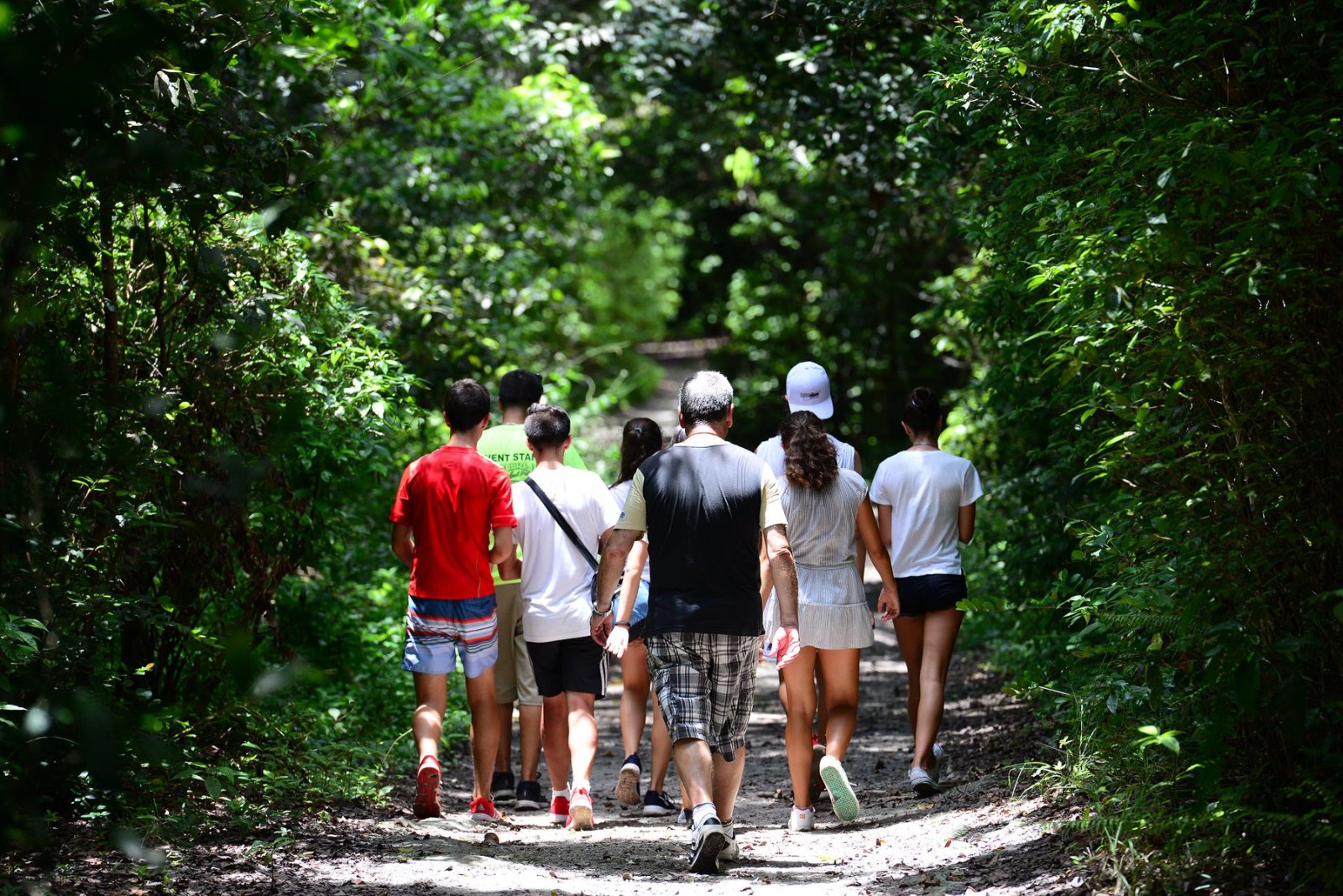 Deering Estate | Grand Miami et Miami Beach