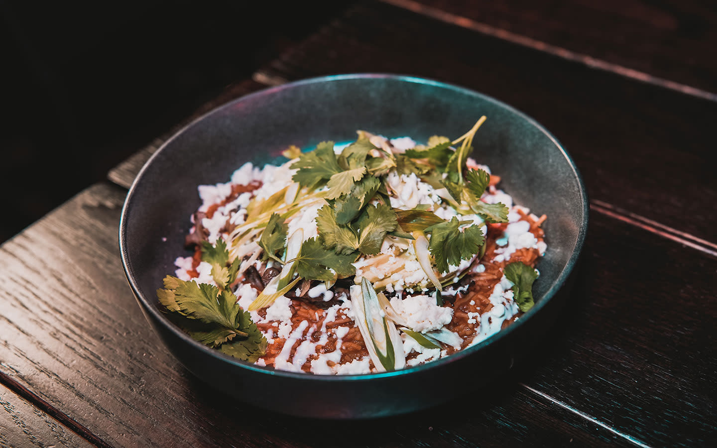 Mayami | Greater Miami & Miami Beach