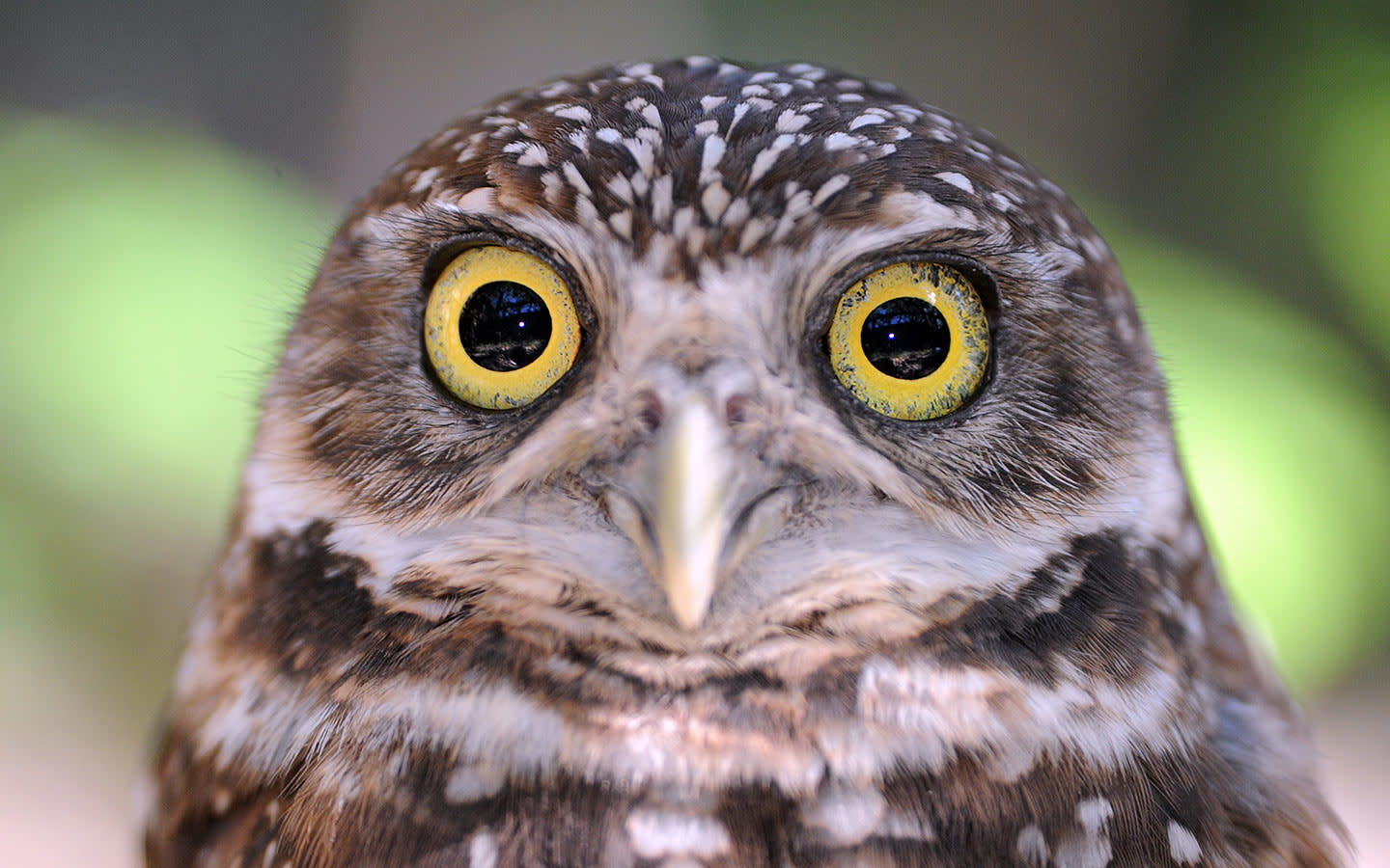 Zoo Miami | Greater Miami & Miami Beach