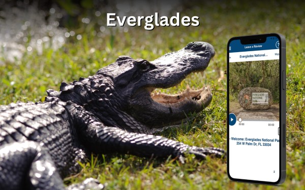 Miamis Ghoulish Ghost Tours | Greater Miami & Miami Beach