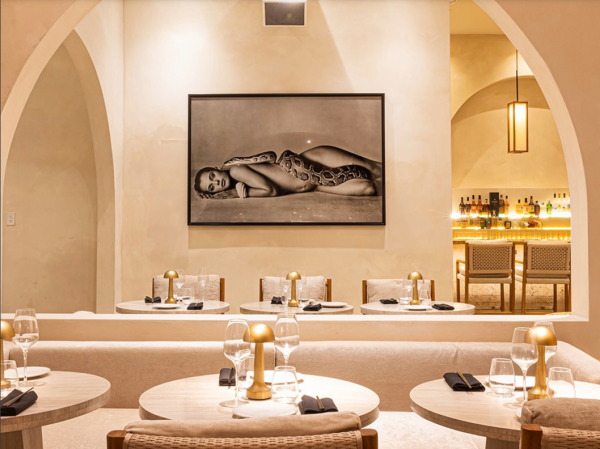 New Partner Showcase | Greater Miami & Miami Beach