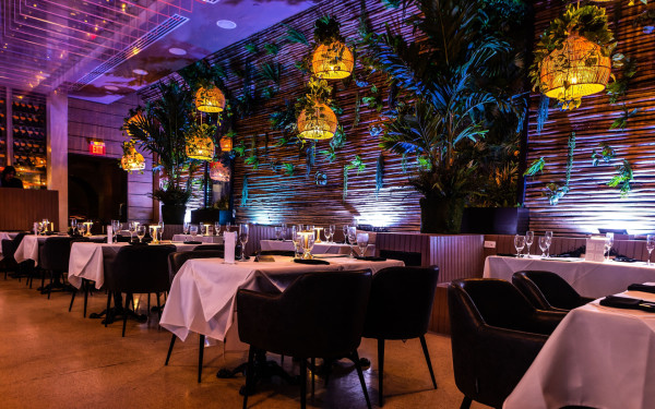 Getting Around Downtown and Miami Beach | Greater Miami & Miami Beach