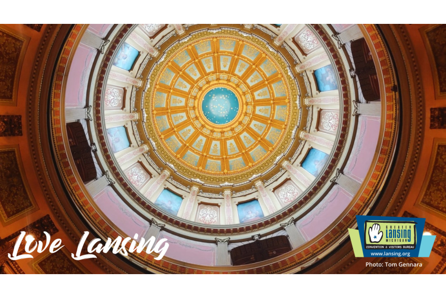Zoom Background - Capitol Dome