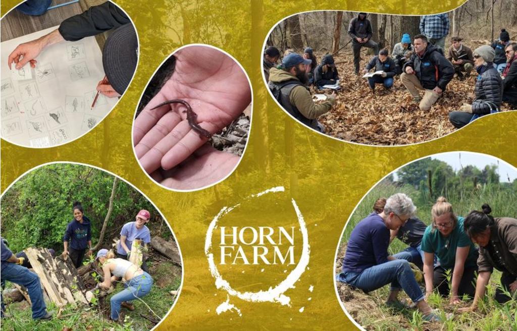 Horn Farm Center | York, PA 17406