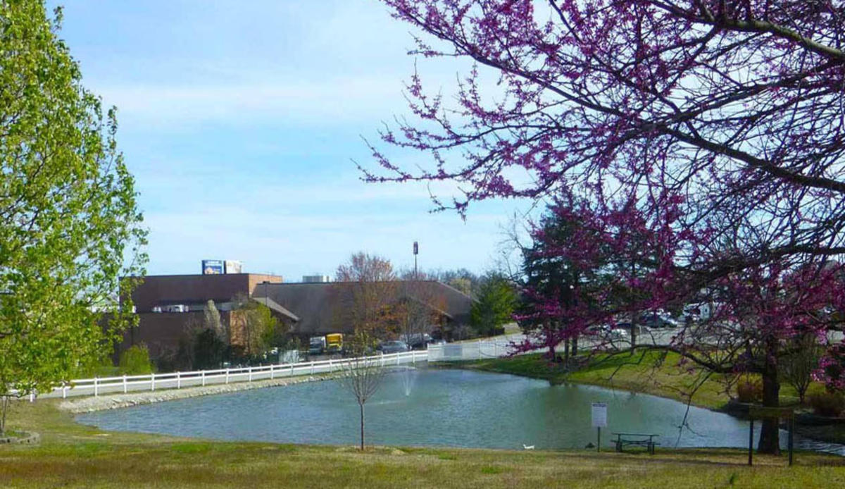 Elegant Treasure Lake Resort Branson Mo Photos